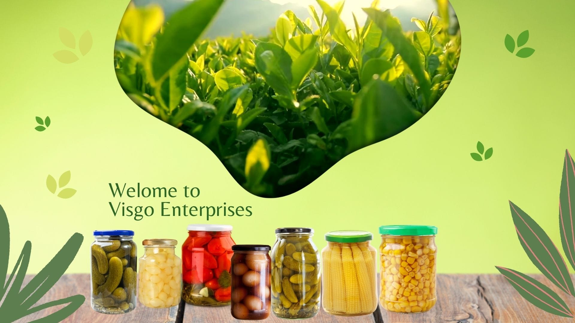 Hem - Español - Visgo Enterprises