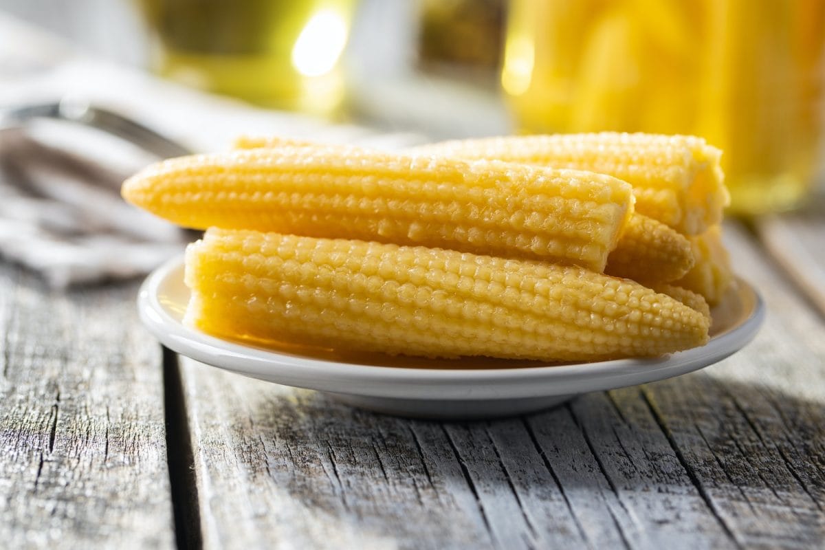 Visgo Enterprises - Food Processing & Exporter with Private Labeling